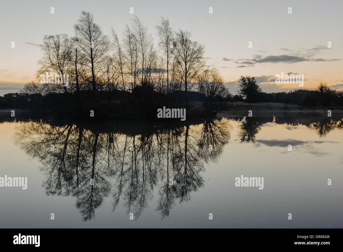 Cadnam New Forest High Resolution Stock Photography and Images - Alamy