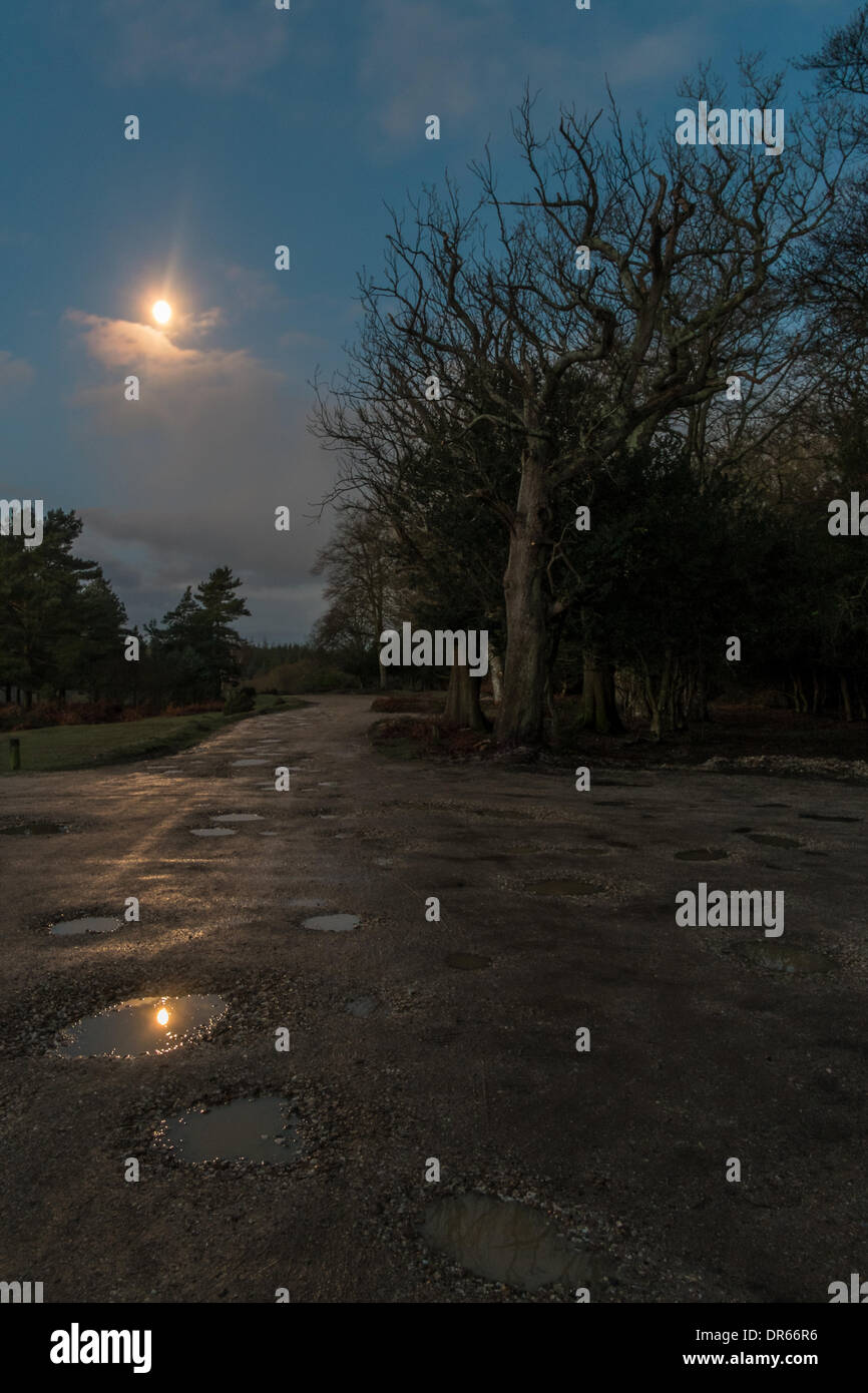 Car reflected reflection trees new hi-res stock photography and images ...