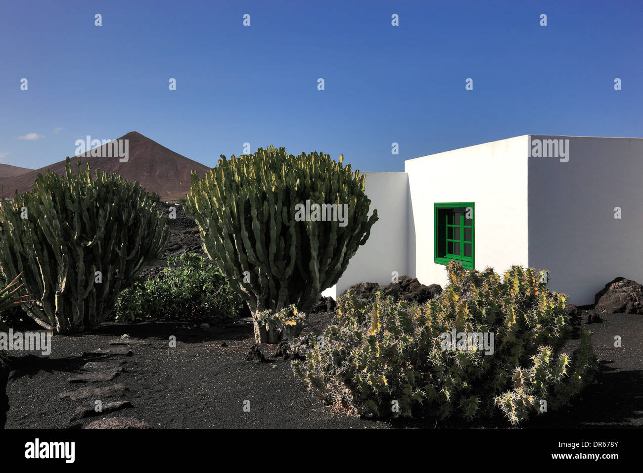 Fundación César Manrique Foundation César Manrique, in the former home ...