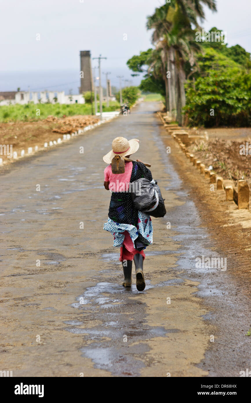 Farm labourer female hi-res stock photography and images - Alamy