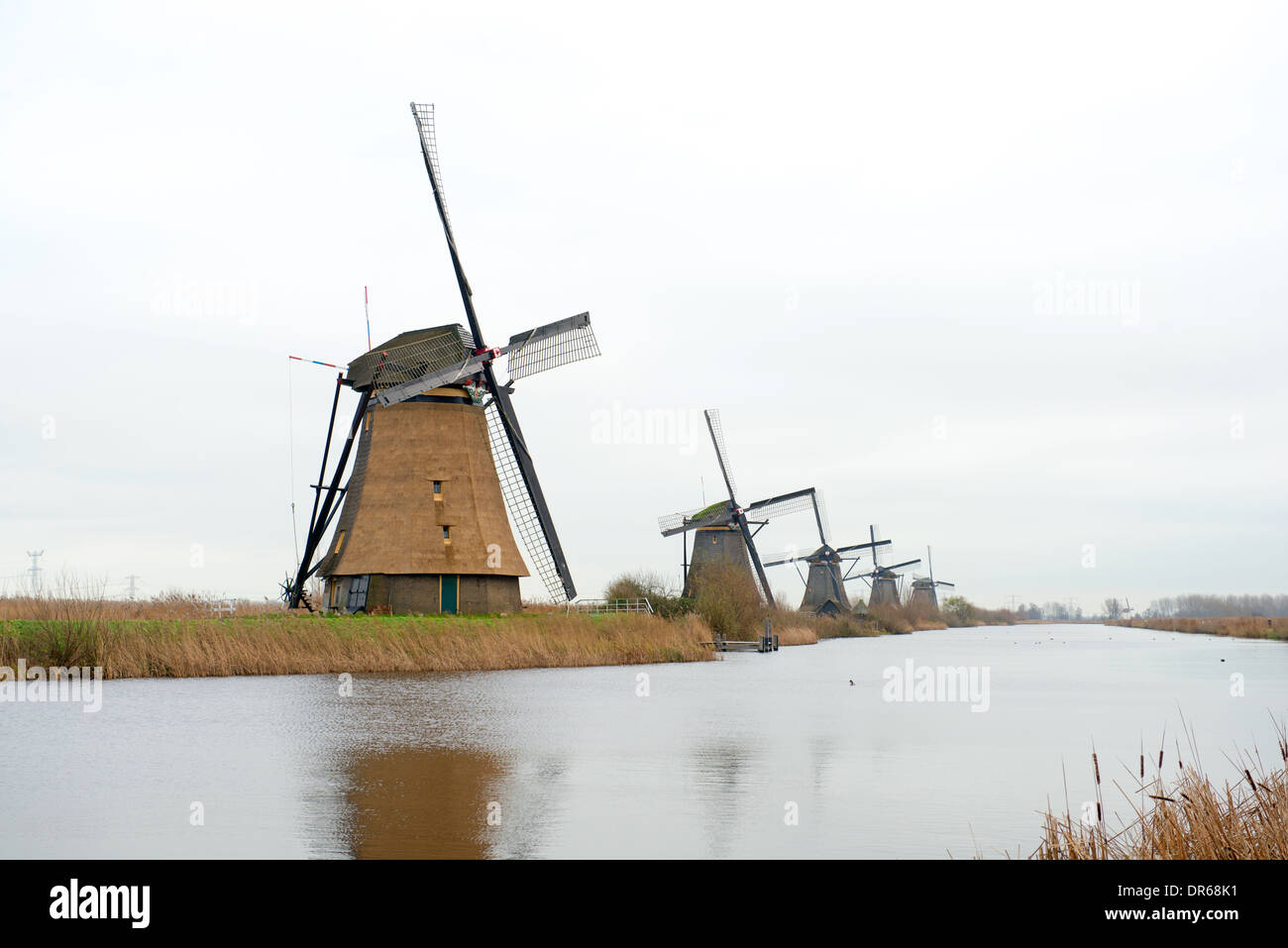 Traditional Dutch windmill in winter Kinderdijk. Netherlands Stock ...