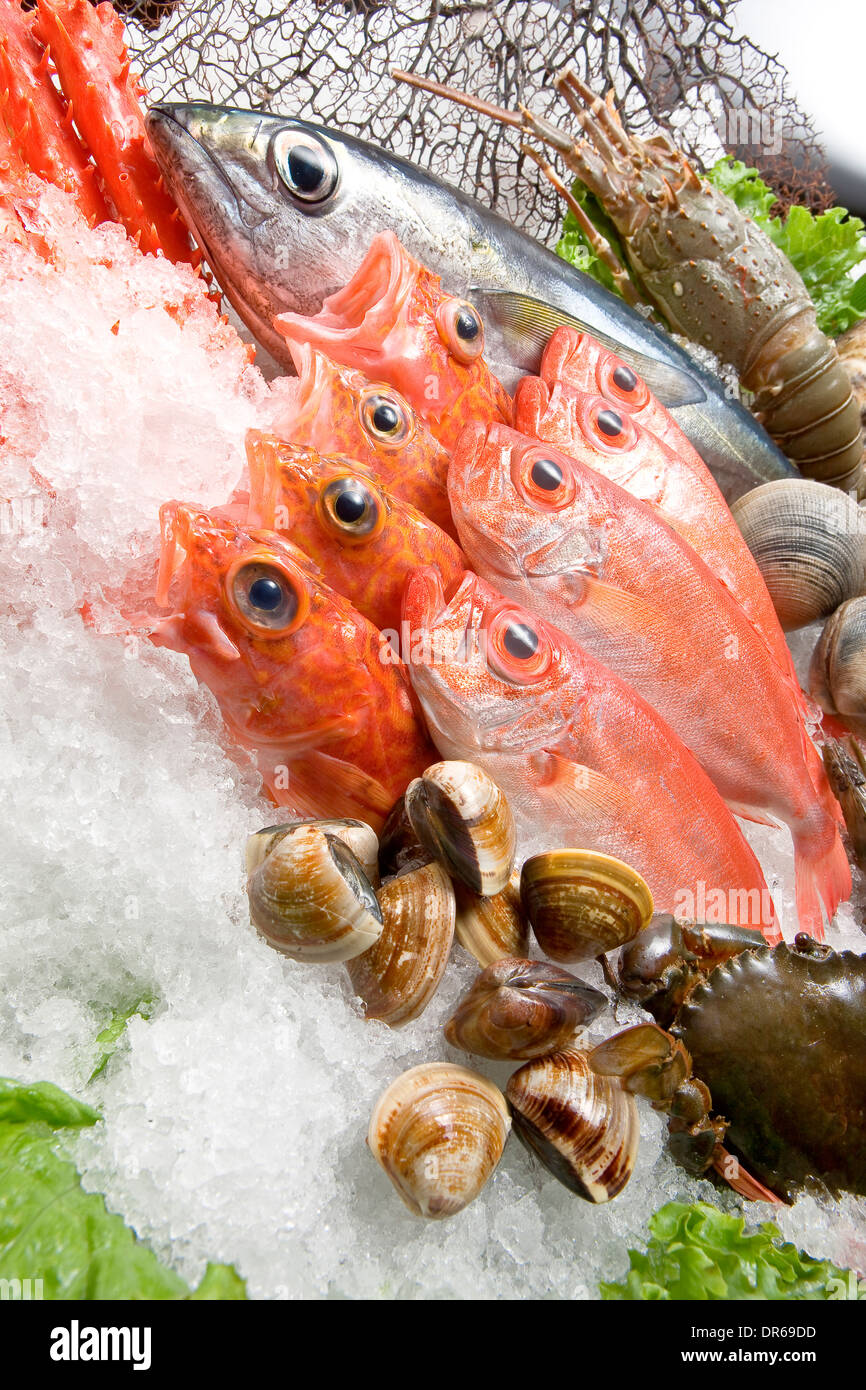 Fresh fish lobster seafood hi-res stock photography and images - Alamy