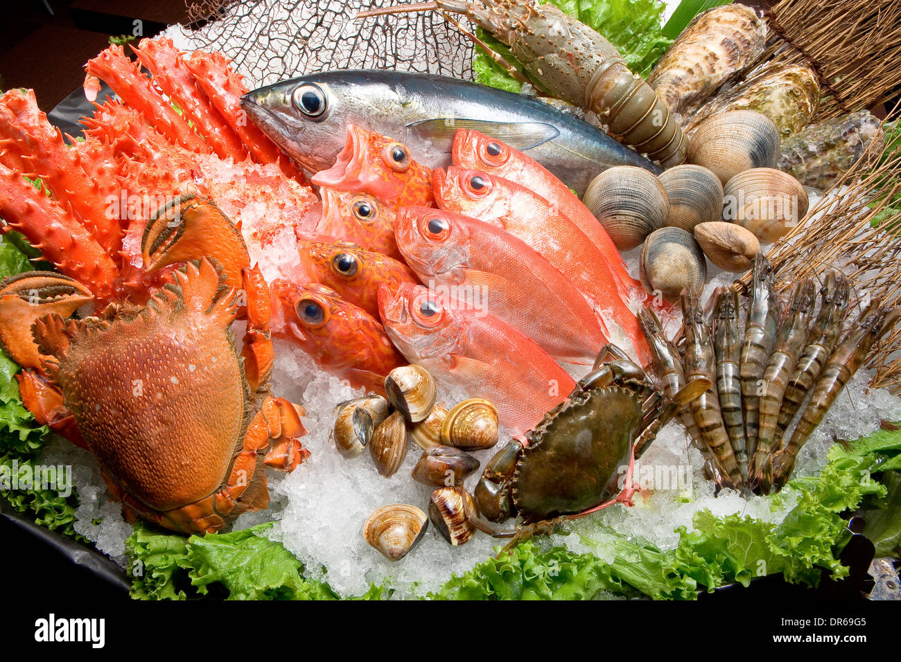 Fresh lobster shrimp seafood hi-res stock photography and images - Alamy