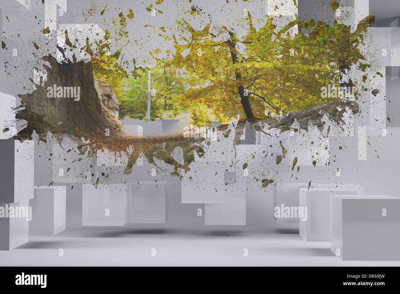 Forest splash hi-res stock photography and images - Alamy