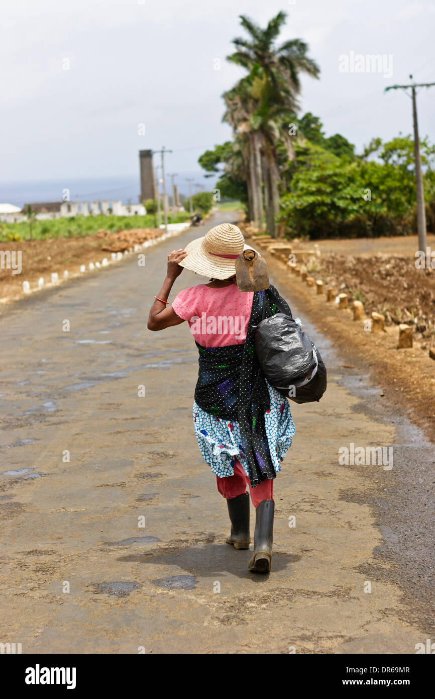 Female Labourer High Resolution Stock Photography and Images - Alamy