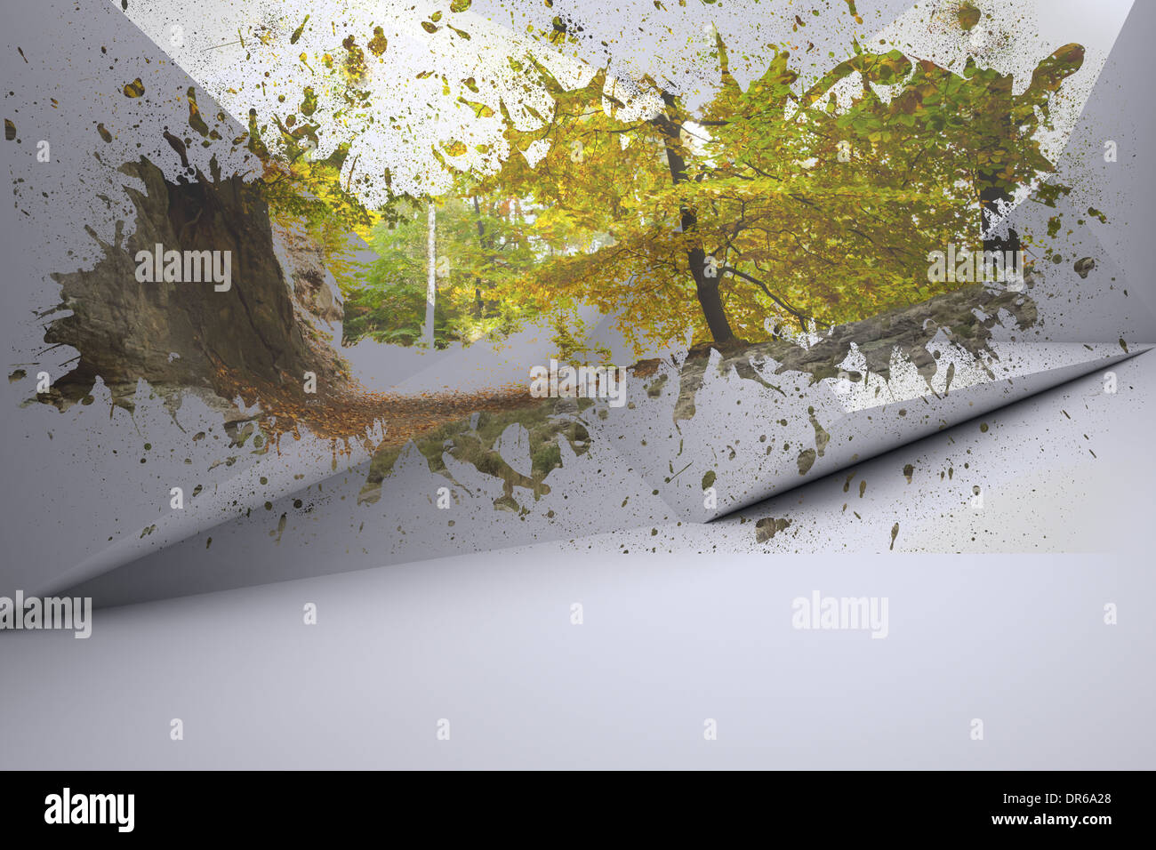 Forest splash hi-res stock photography and images - Alamy