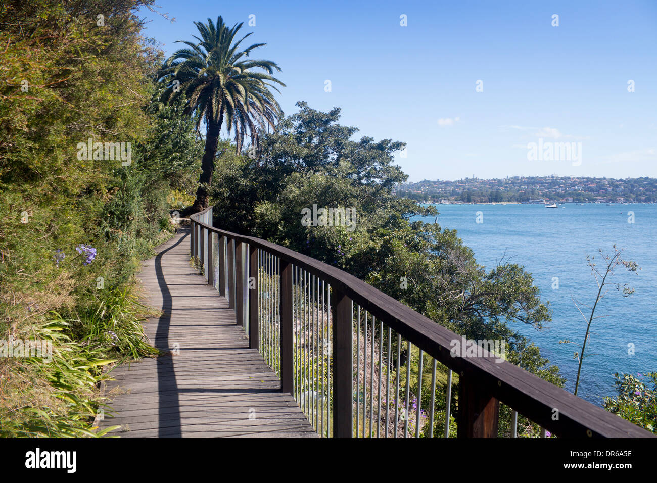 Sydney harbour national park walk hi-res stock photography and images ...