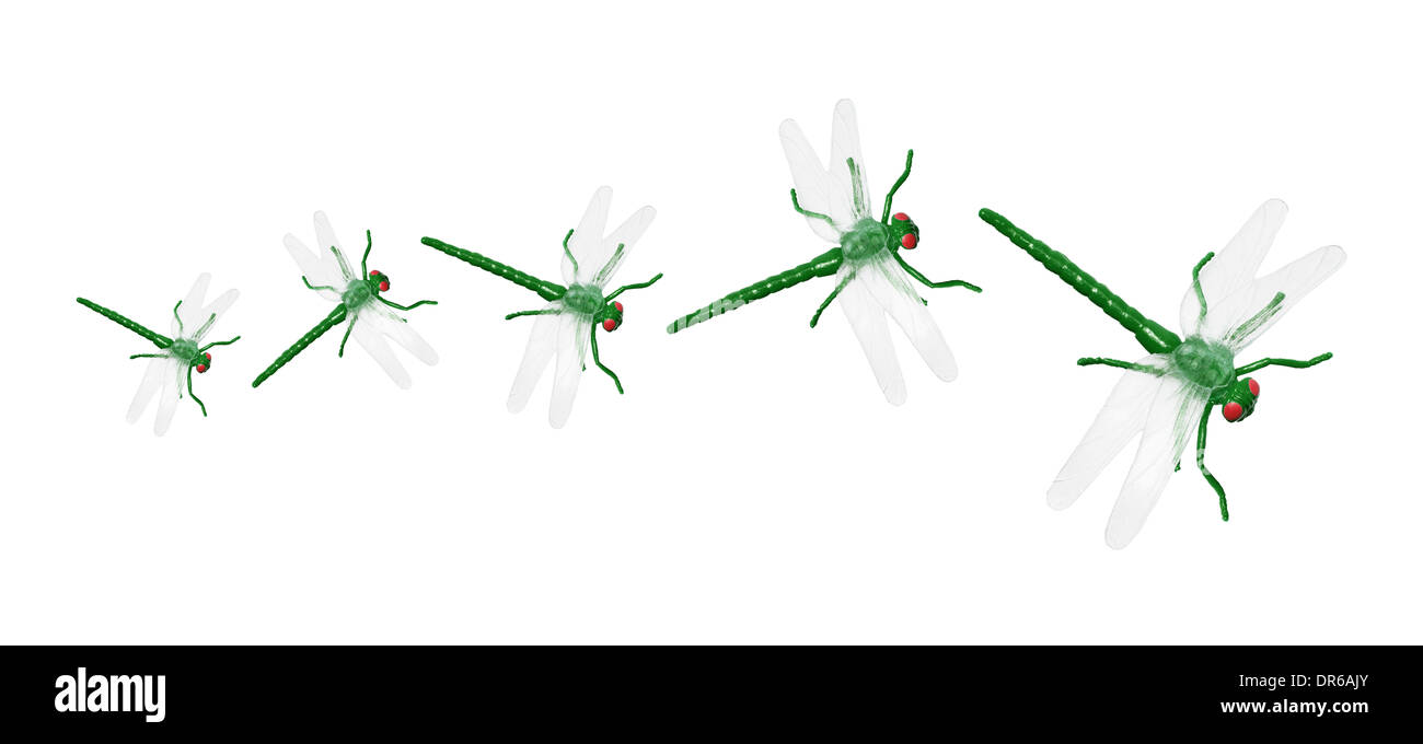 Dragonflies are flying insects hi-res stock photography and images - Alamy