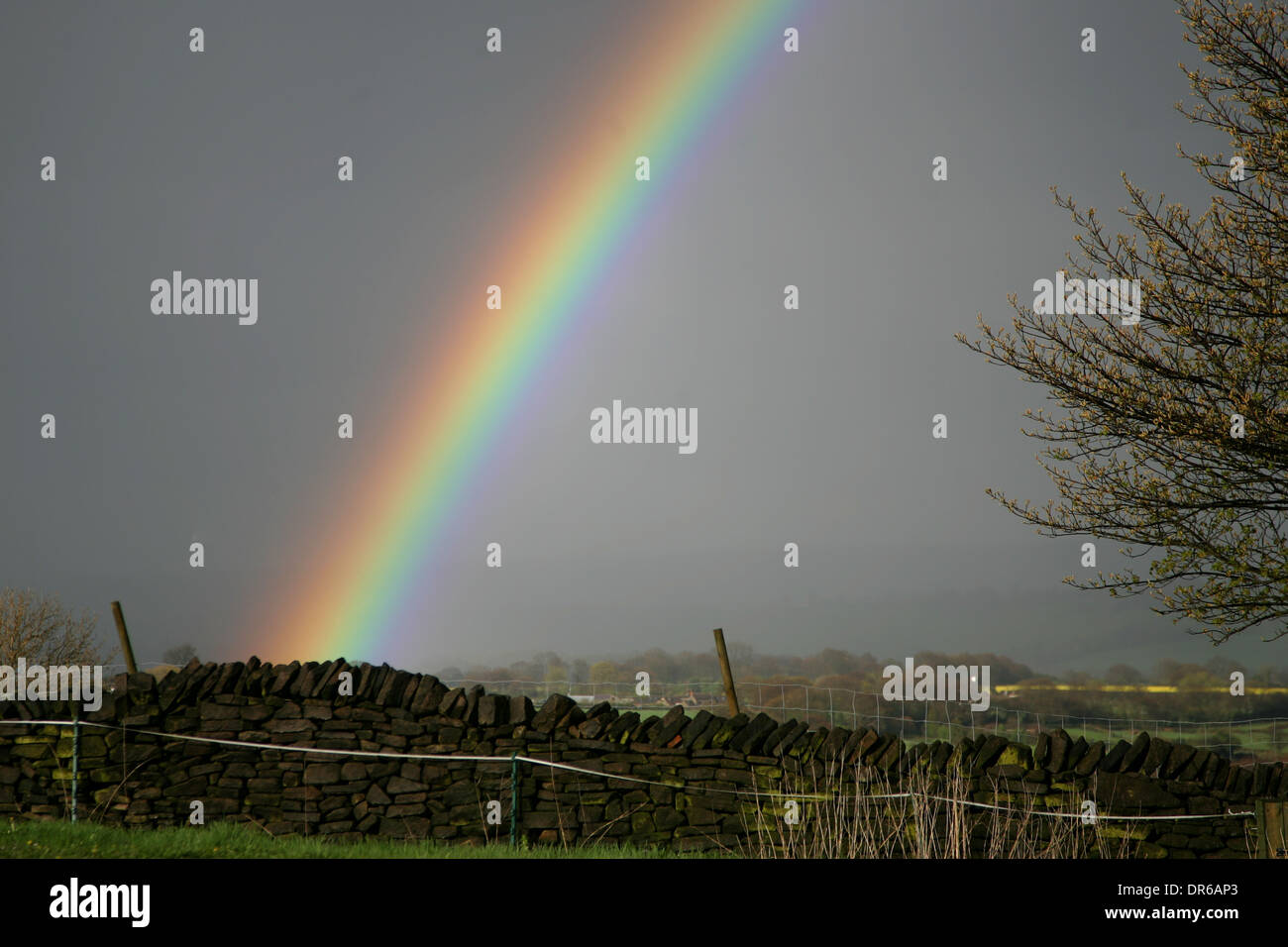 rainbow above a corn field Stock Photo - Alamy