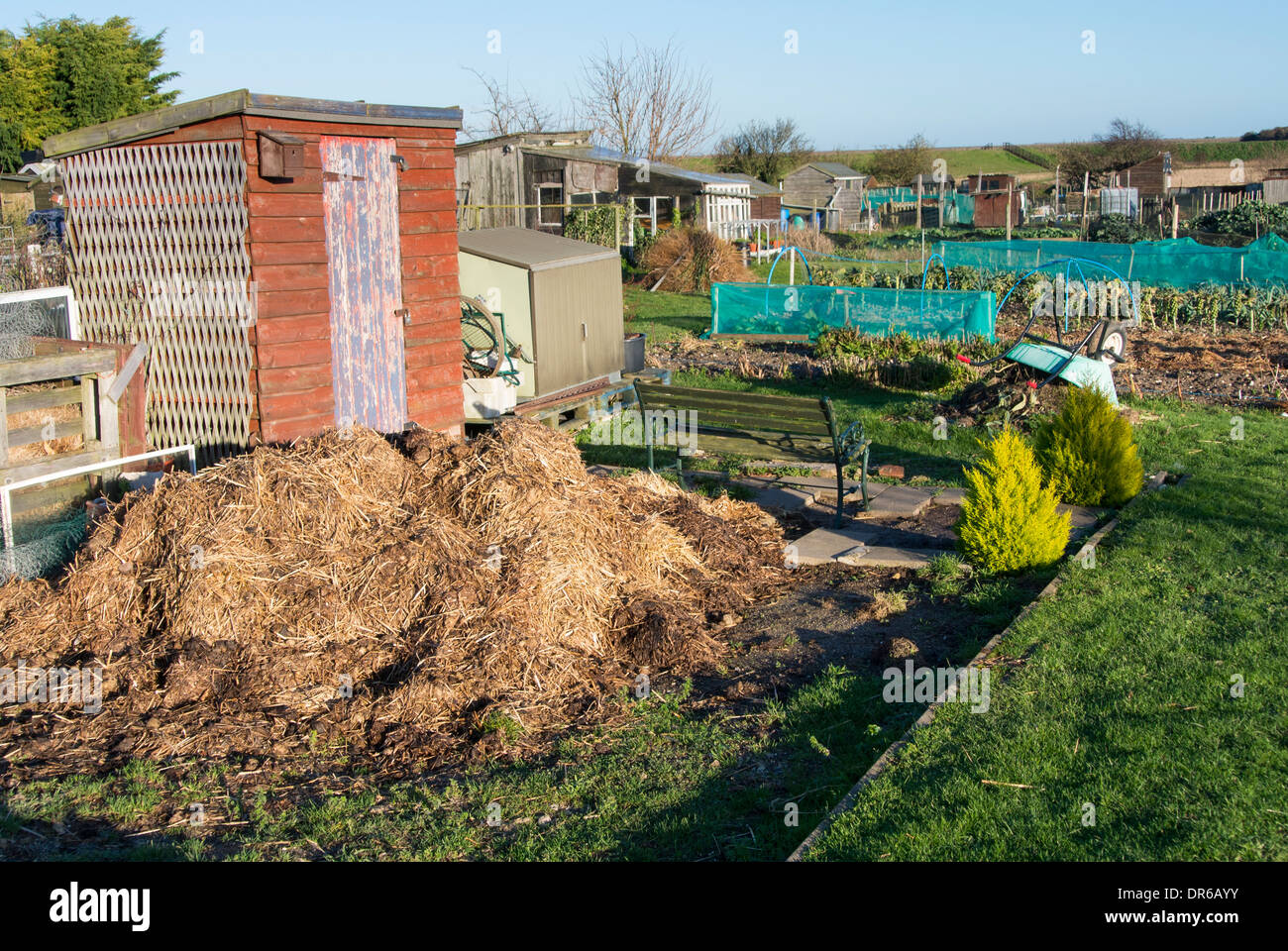 Allotment with shed hi-res stock photography and images - Alamy