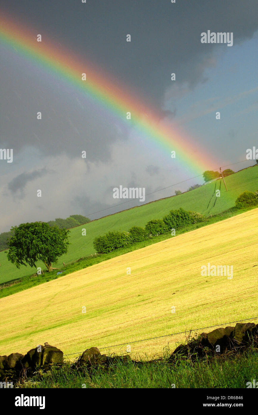 rainbow above a corn field Stock Photo - Alamy