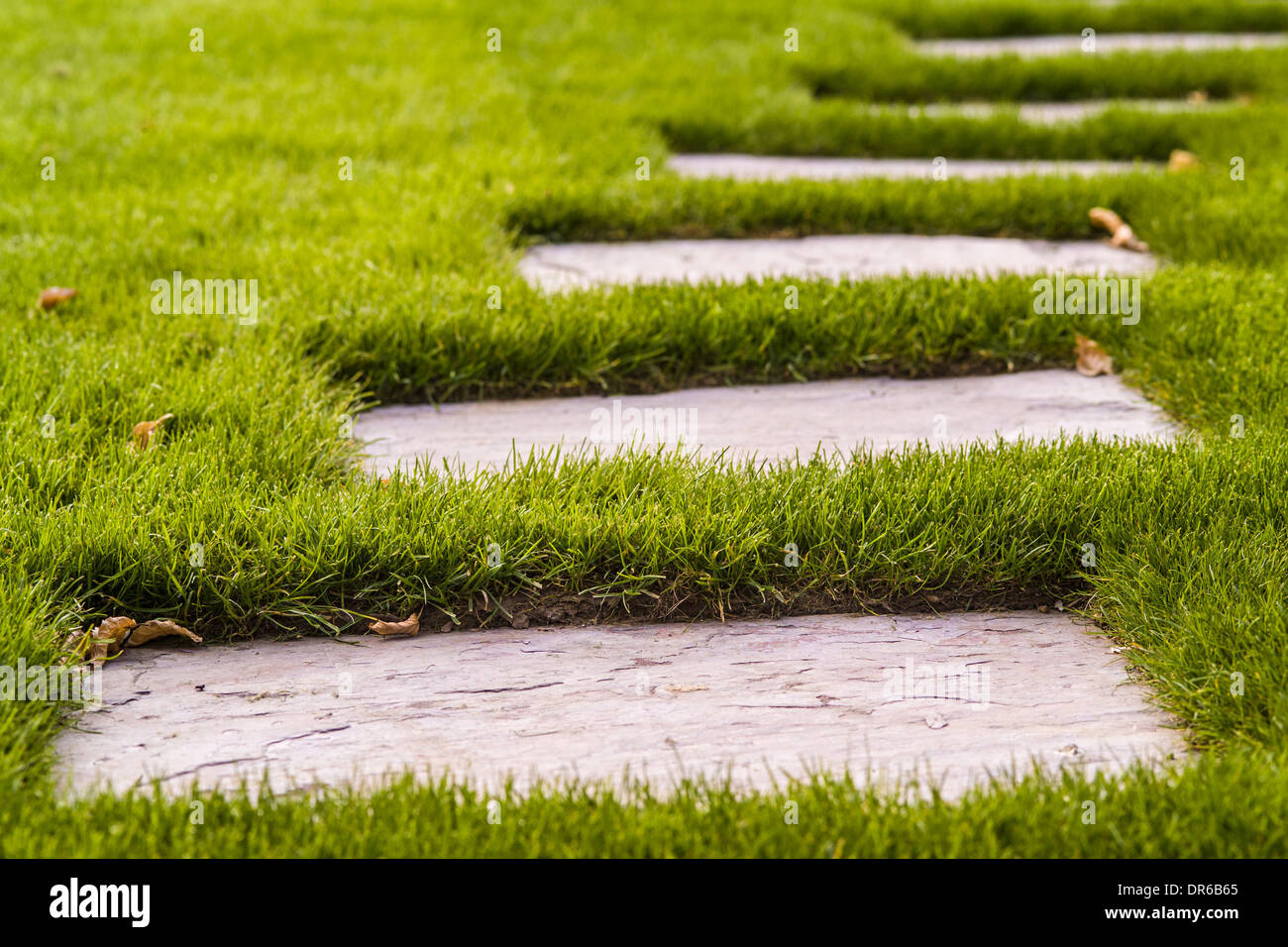 Rectangular lawn garden paving hi-res stock photography and images - Alamy