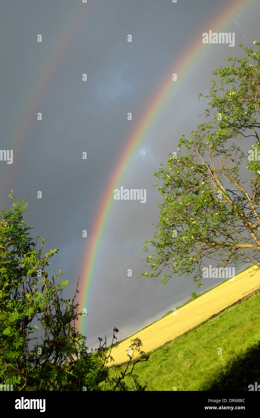Rainbow above corn field hi-res stock photography and images - Alamy