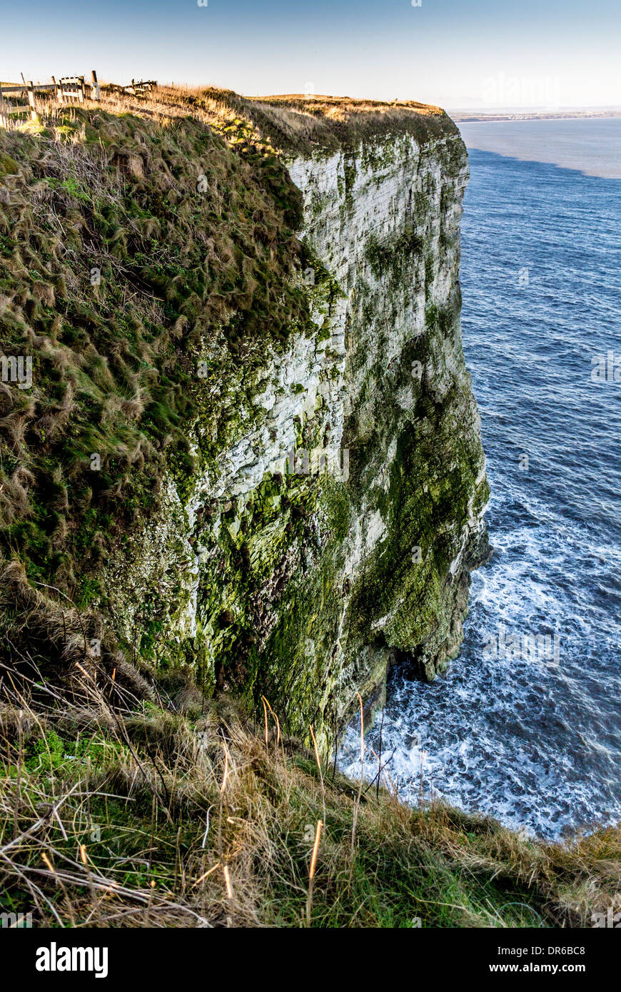 Bempton Cliffs RSPB site on East Coast of England Stock Photo - Alamy