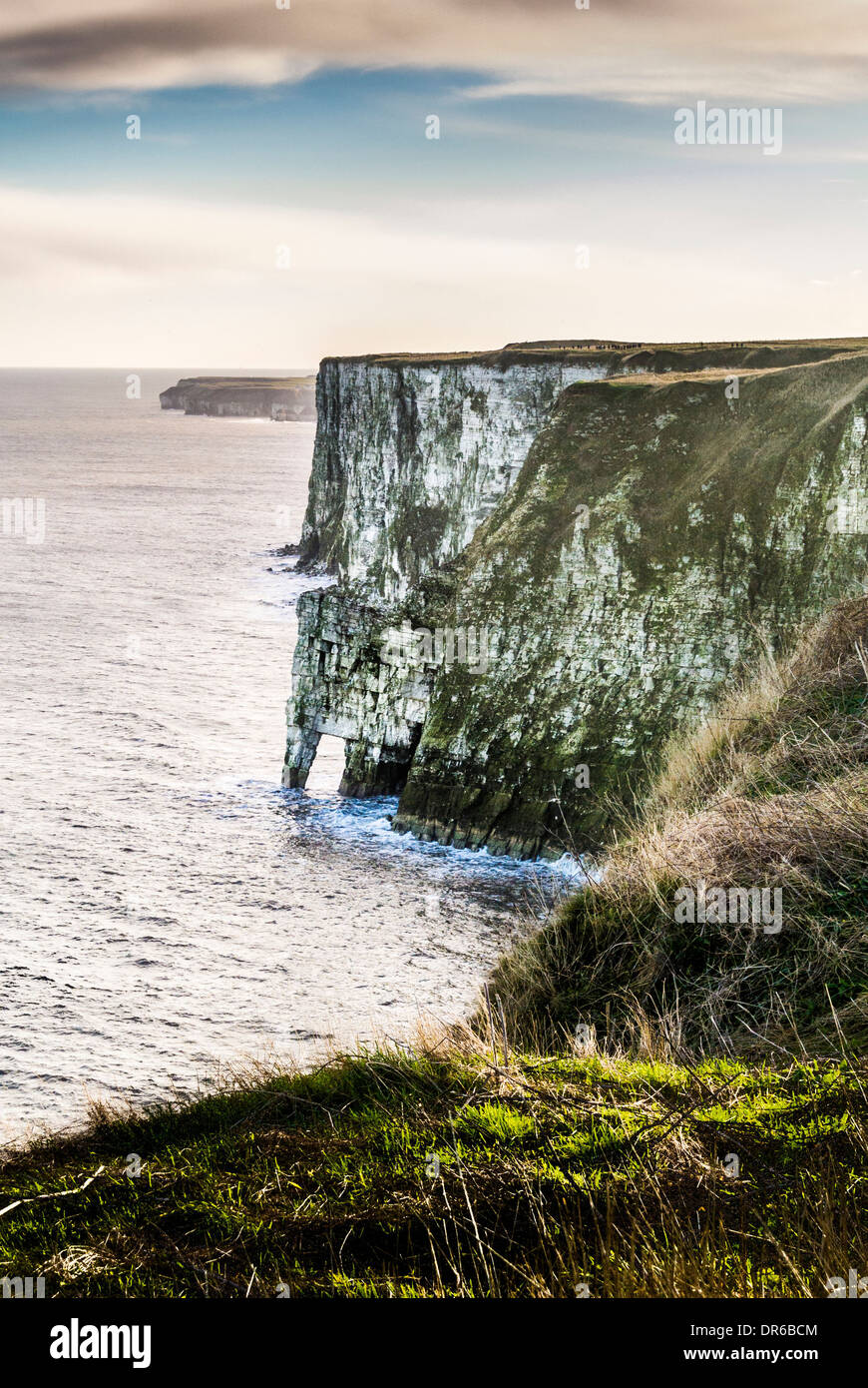 Chalk cliffs steep coastal erosion hi-res stock photography and images ...