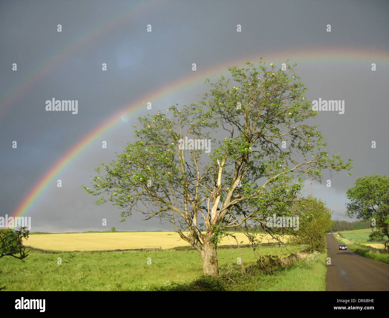 Rainbow above corn field hi-res stock photography and images - Alamy