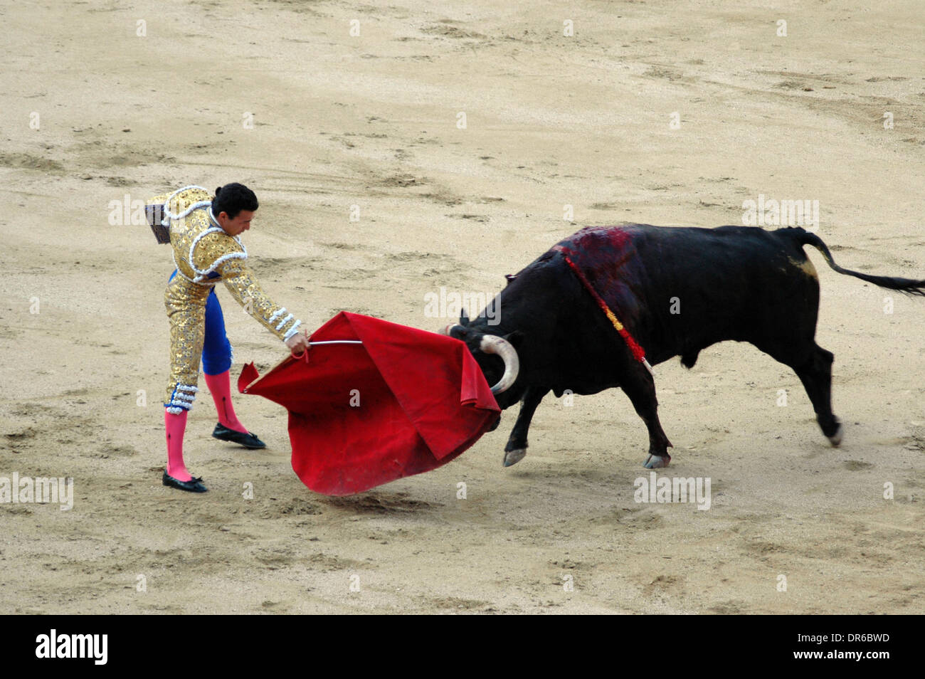 BULLFIGHTING IN MADRID Stock Photo - Alamy