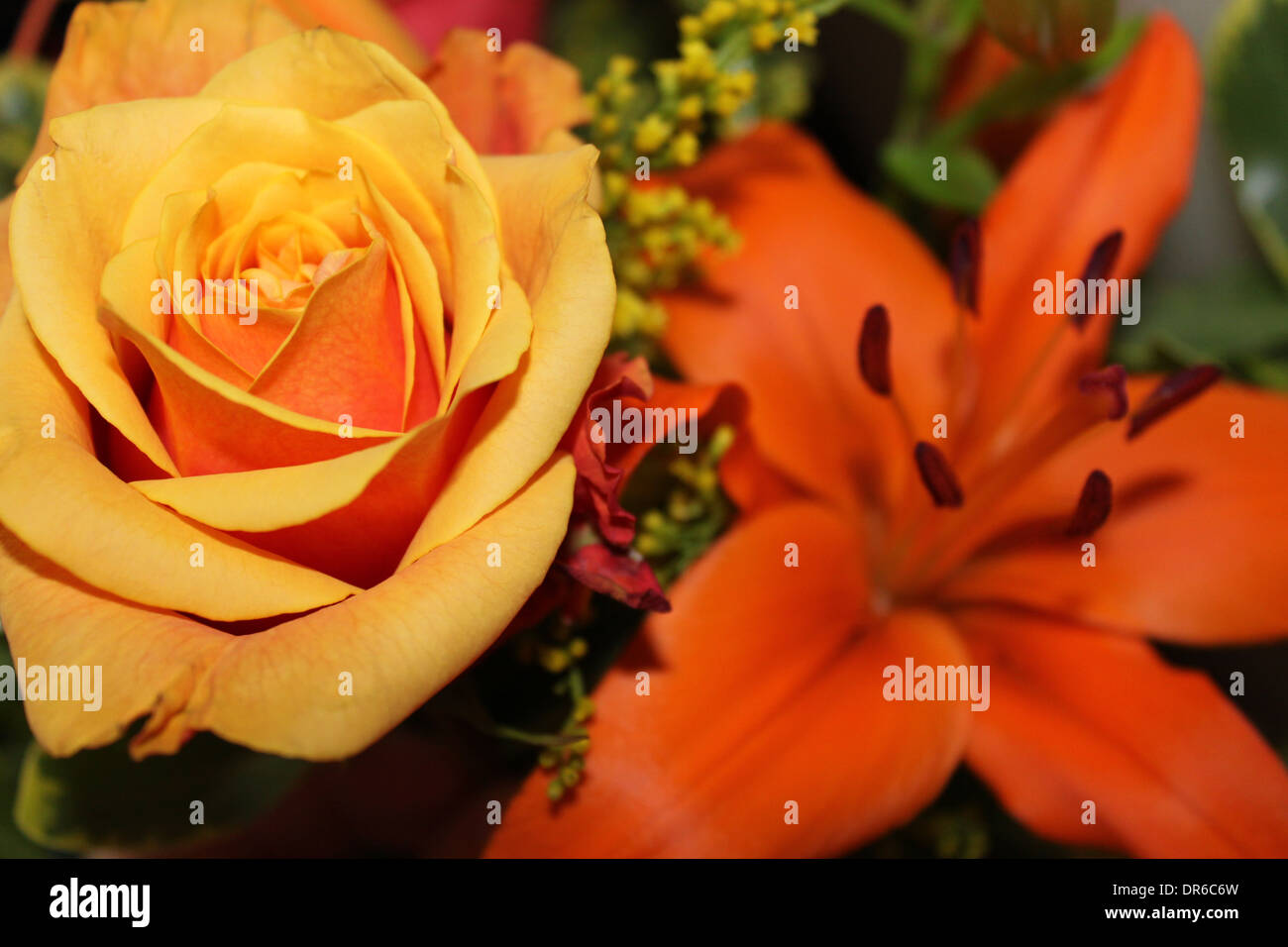A bunch of flowers Stock Photo - Alamy