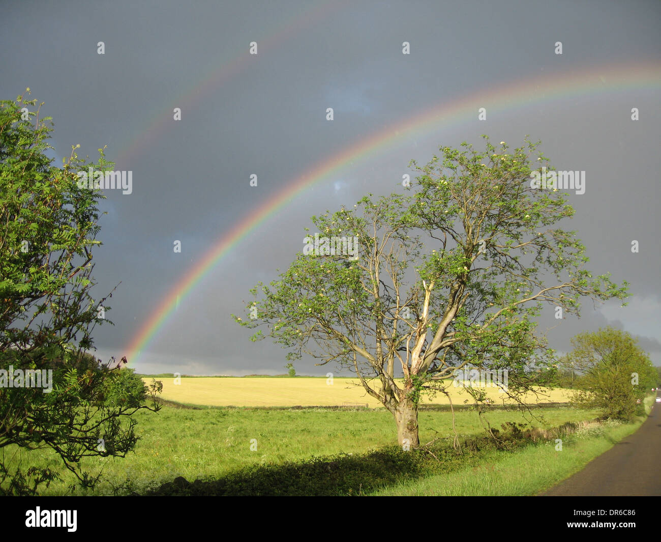 Rainbow above corn field hi-res stock photography and images - Alamy