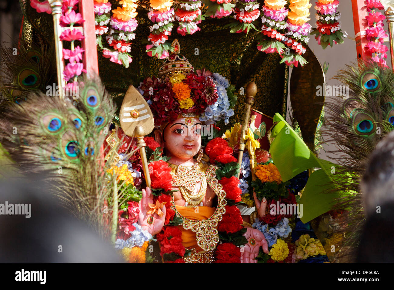 Brightly coloured Cavadee arrangement during the Thaipoosam Cavadee ...
