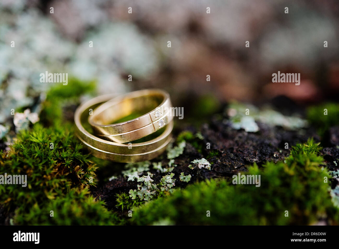 Wedding rings on a green moss Stock Photo - Alamy