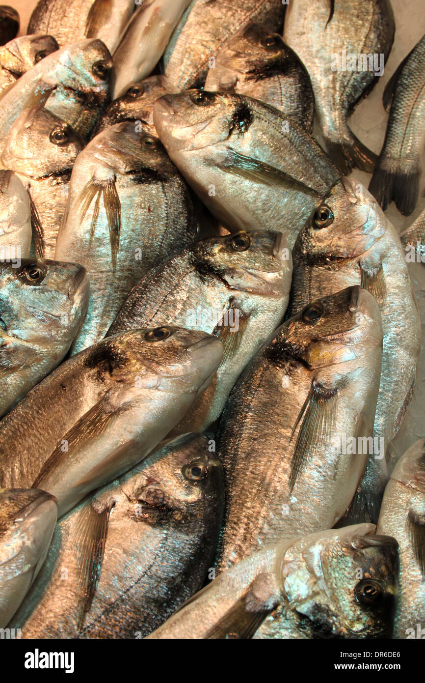 Seabream at the fish market Stock Photo - Alamy
