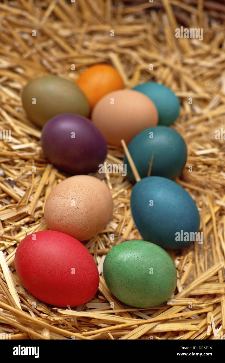 Colorful easter eggs in nest Stock Photo - Alamy