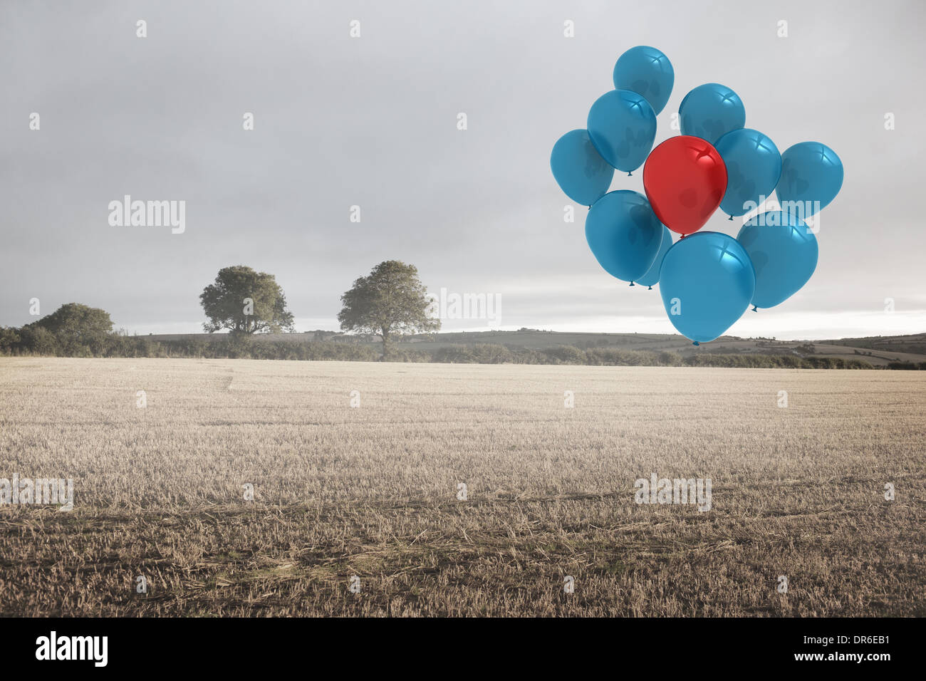 Balloons above a field Stock Photo - Alamy