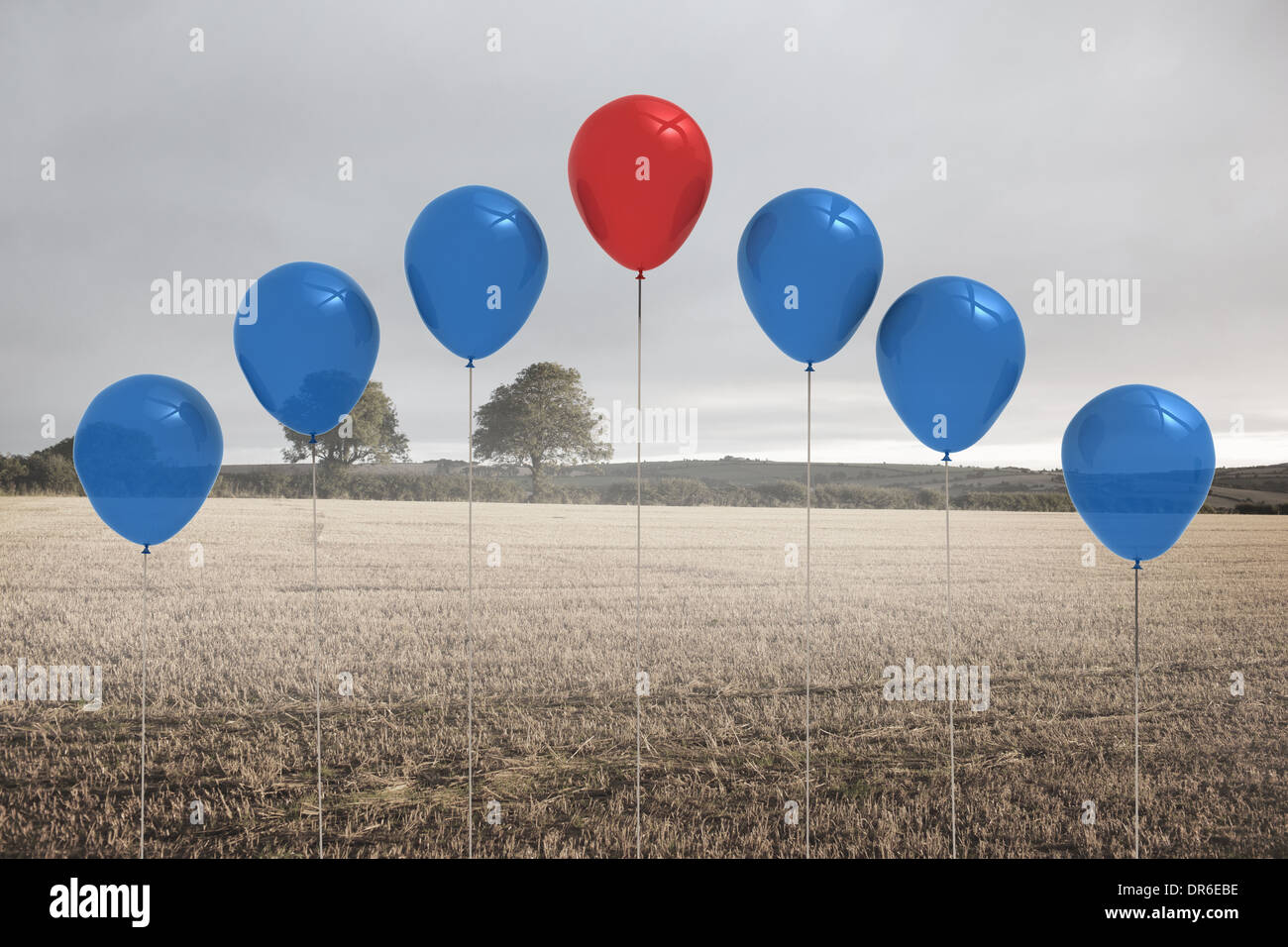 Balloons above a field Stock Photo - Alamy