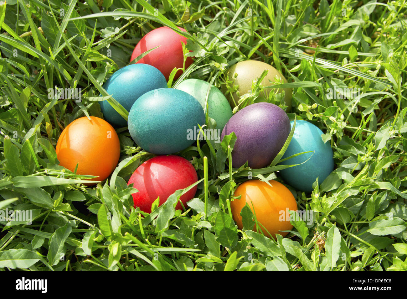 Green fresh easter grass hi-res stock photography and images - Alamy