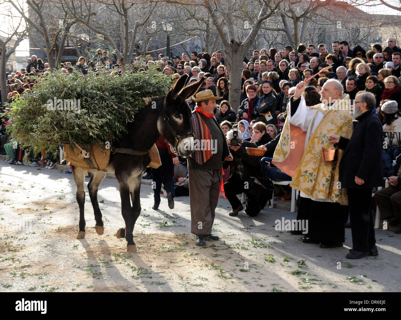 The priest blesses the donkey in the popular festival of San Anton in ...