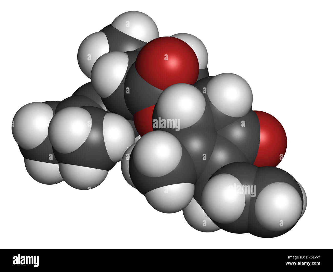 Allethrin pyrethroid insecticide. Synthetic analog of chrysanthemum ...