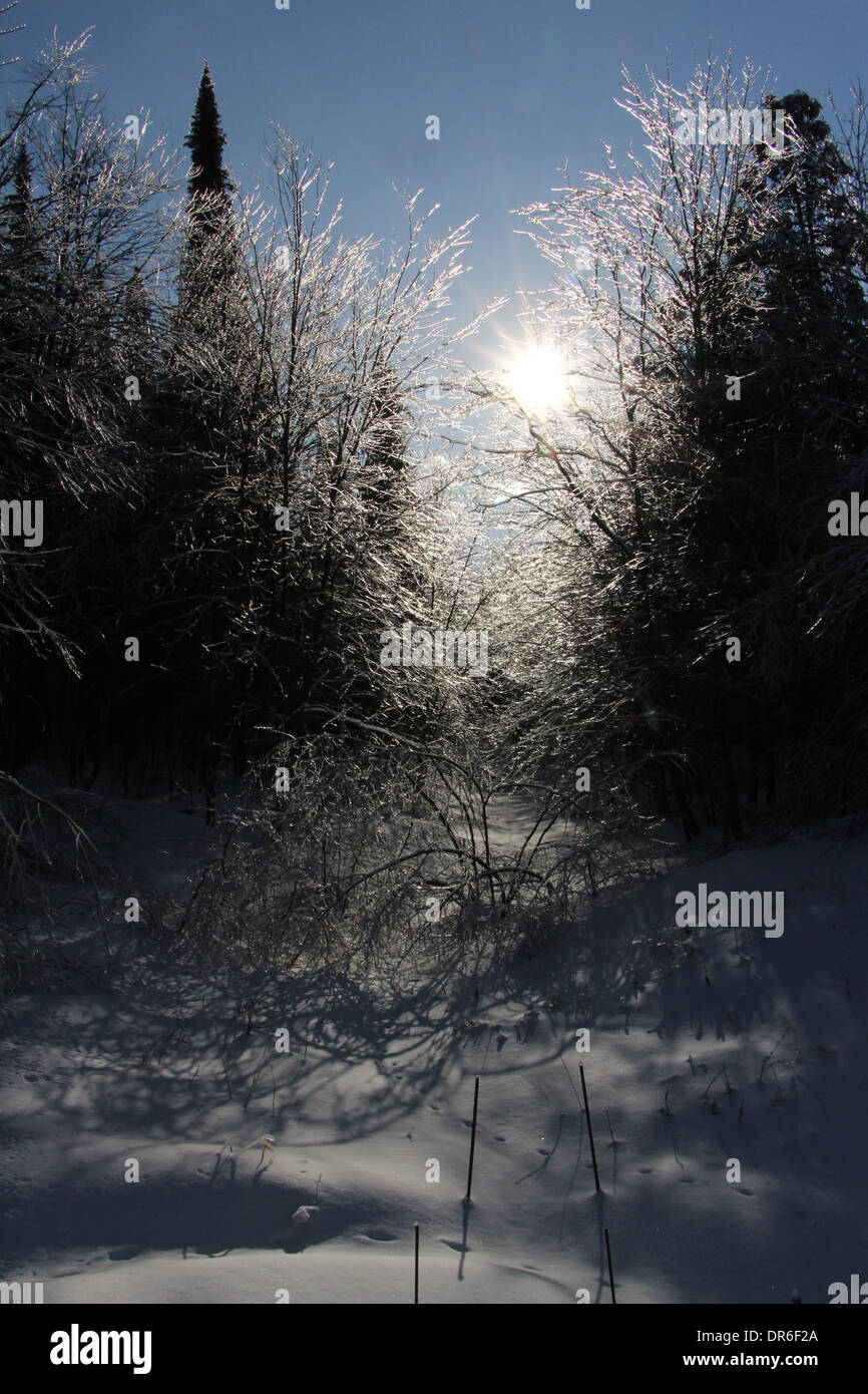 Sun shining through falling water hi-res stock photography and images ...