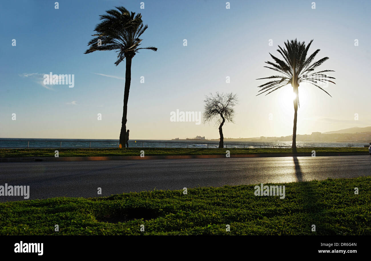 Avinguda de gabriel roca hi-res stock photography and images - Alamy