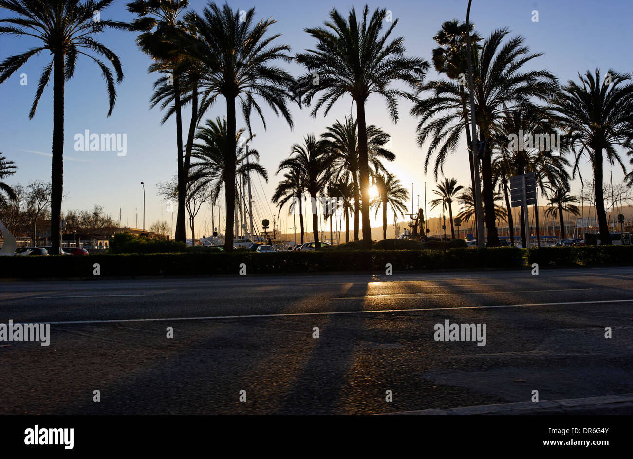 Avinguda de gabriel roca hi-res stock photography and images - Alamy