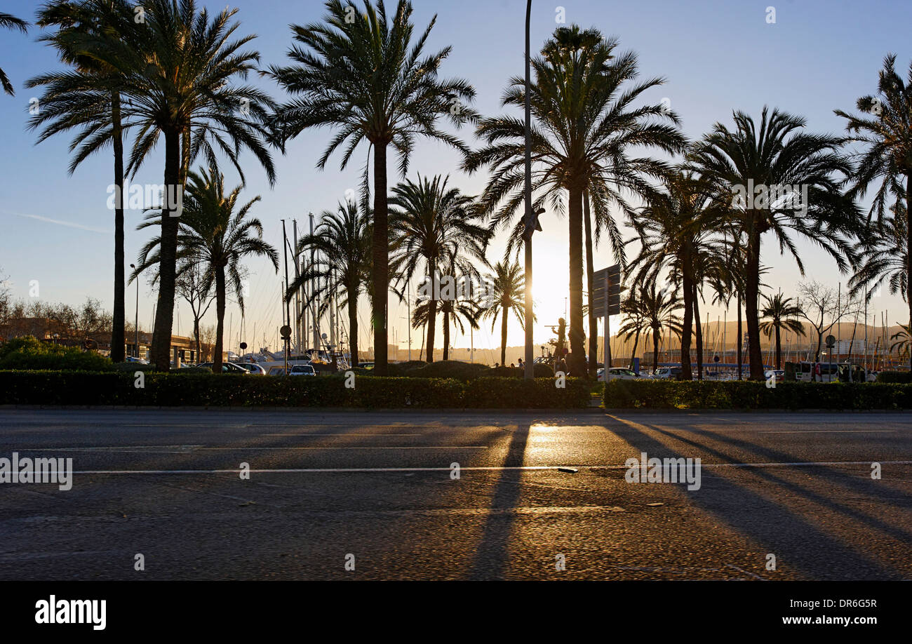 Gabriel roca hi-res stock photography and images - Alamy