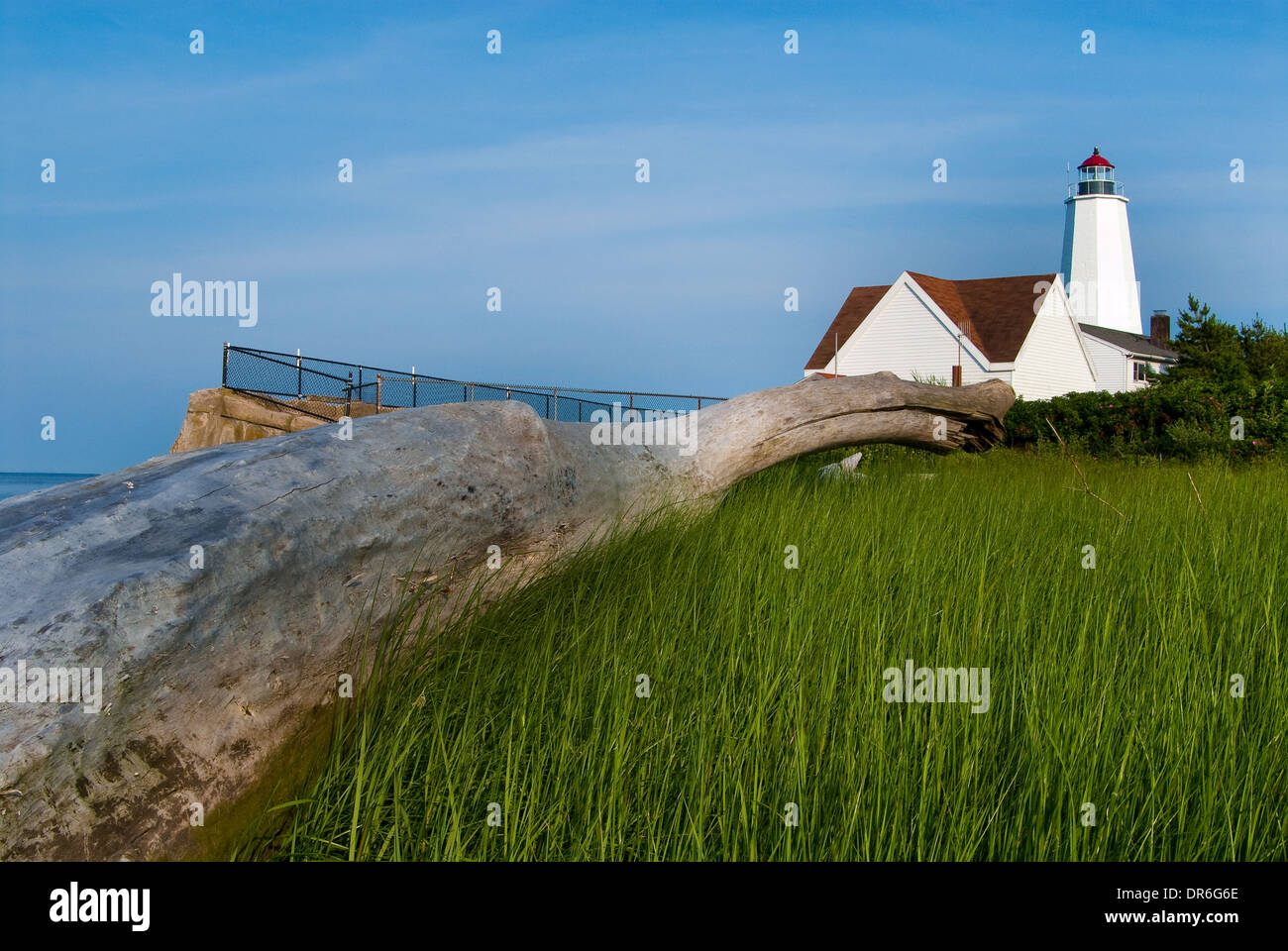 Submerged log washes up in front of Connecticut's Lynde Point ...