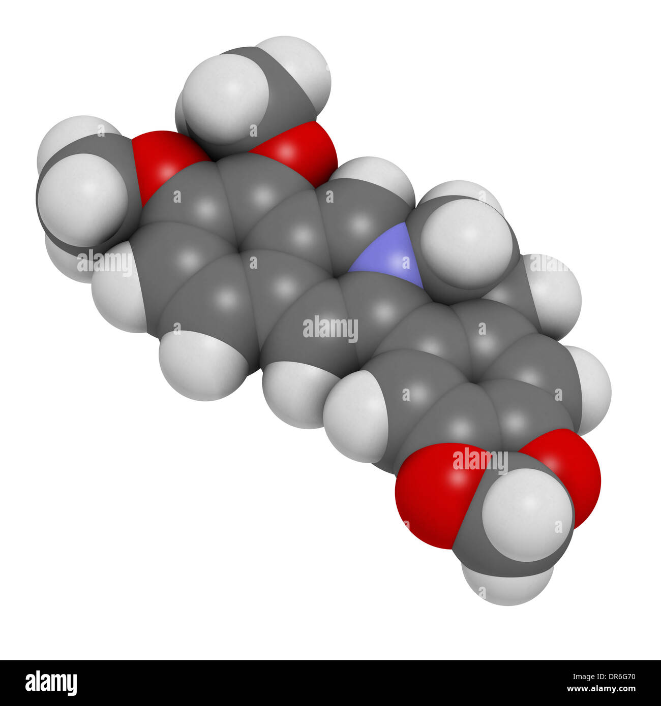 Berberine alkaloid molecule. Present in number of plants. Used as a ...
