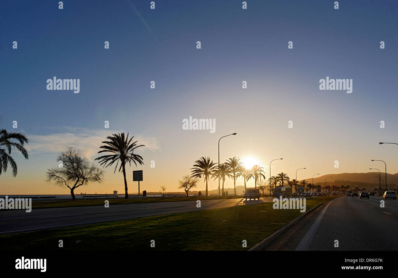 Promenade, Avinguda de Gabriel Roca, Palma de Mallorca, Spain Stock ...