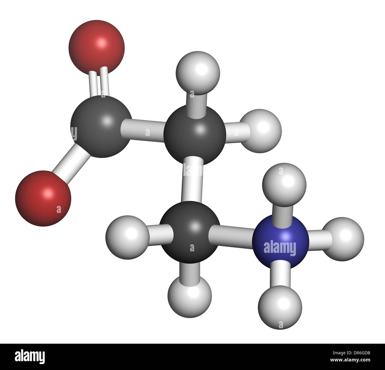 Beta-alanine molecule. Naturally occurring beta amino acid. Precursor ...