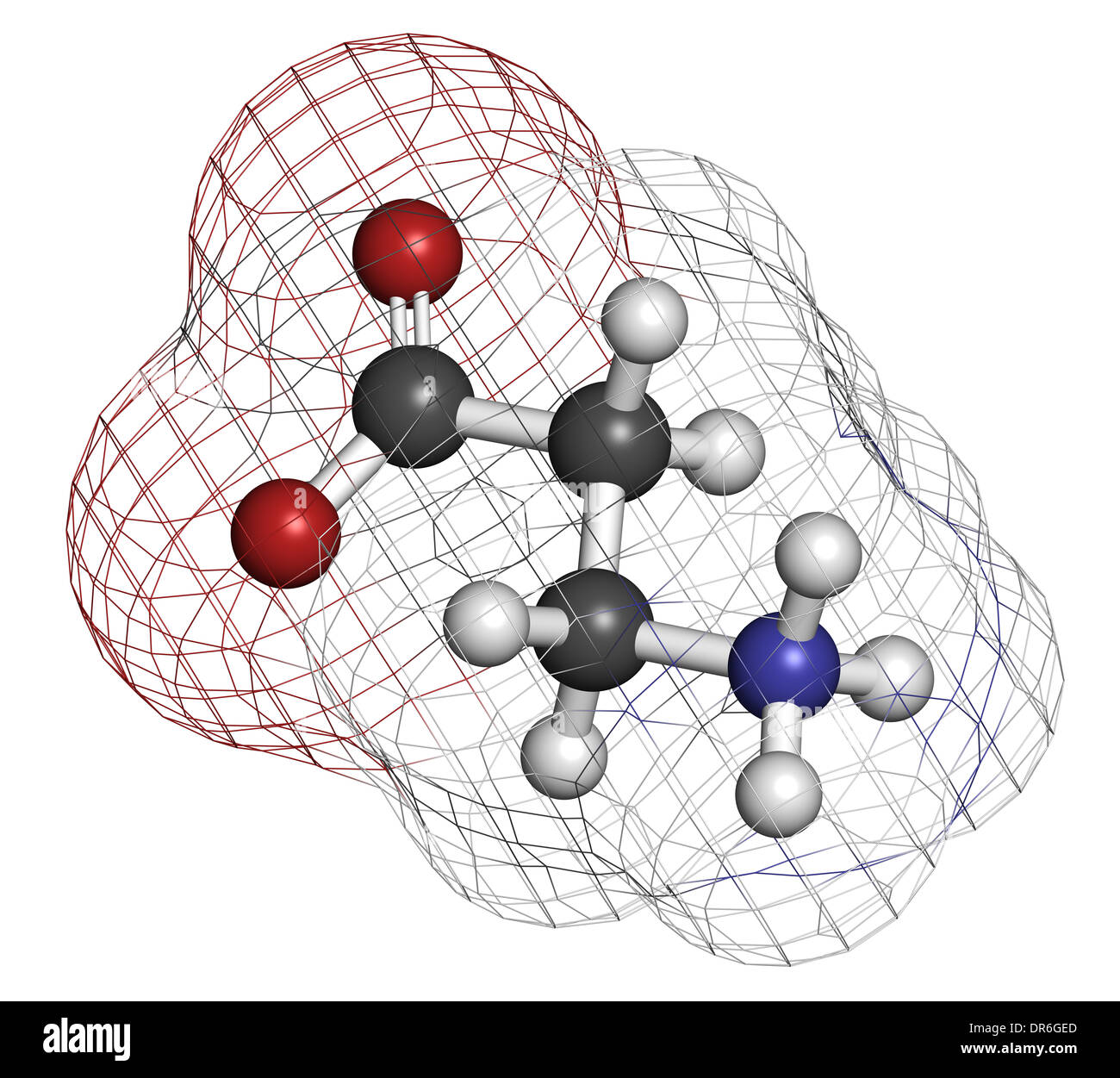 Beta-alanine molecule. Naturally occurring beta amino acid. Precursor ...