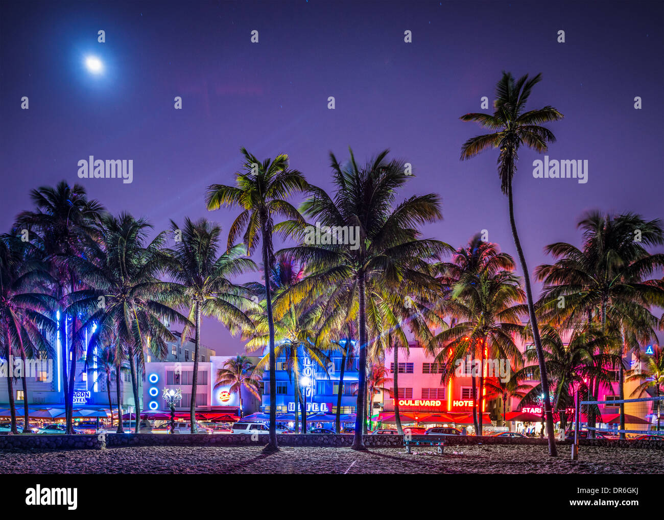 Miami beach night palm trees hi-res stock photography and images - Alamy
