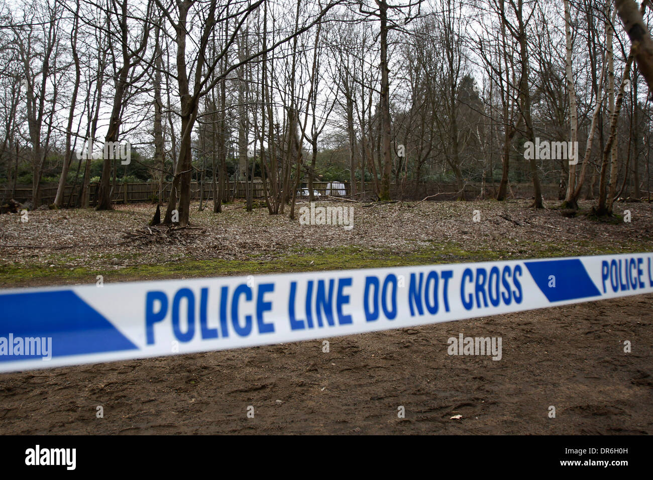 Berezovsky home hi-res stock photography and images - Alamy