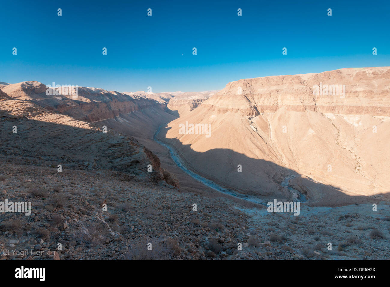 Israel. A dry riverbed in the Negev desert Stock Photo - Alamy