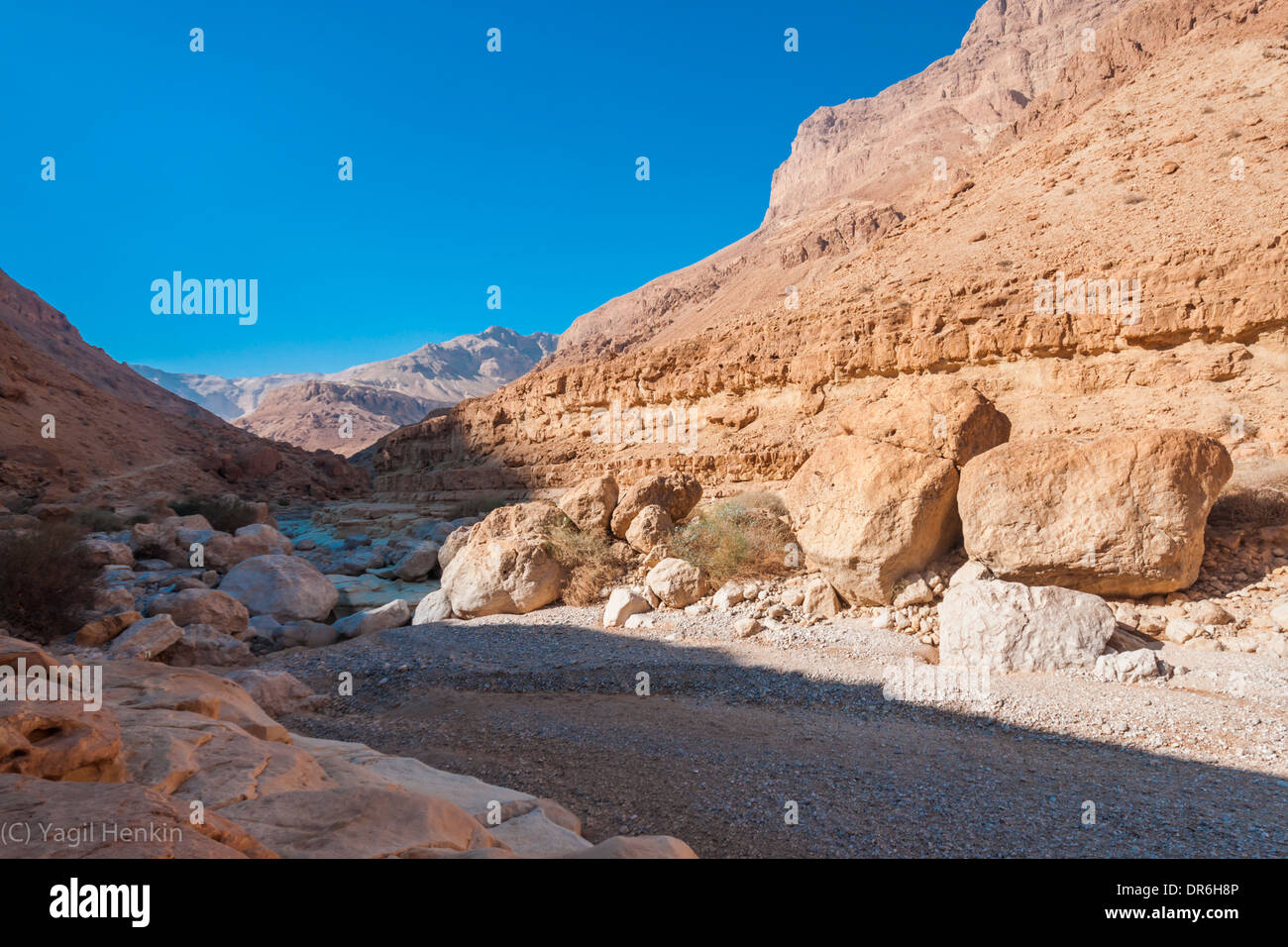 Israel. A dry riverbed in the Negev desert Stock Photo - Alamy