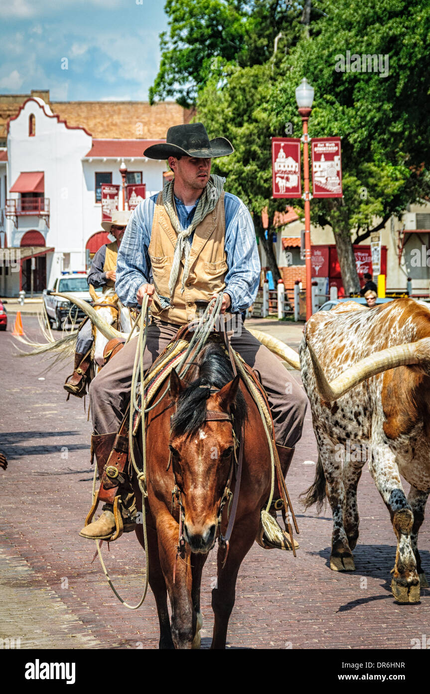 Cattle drive, Stockyards Historic District, Fort Worth, Texas Stock ...