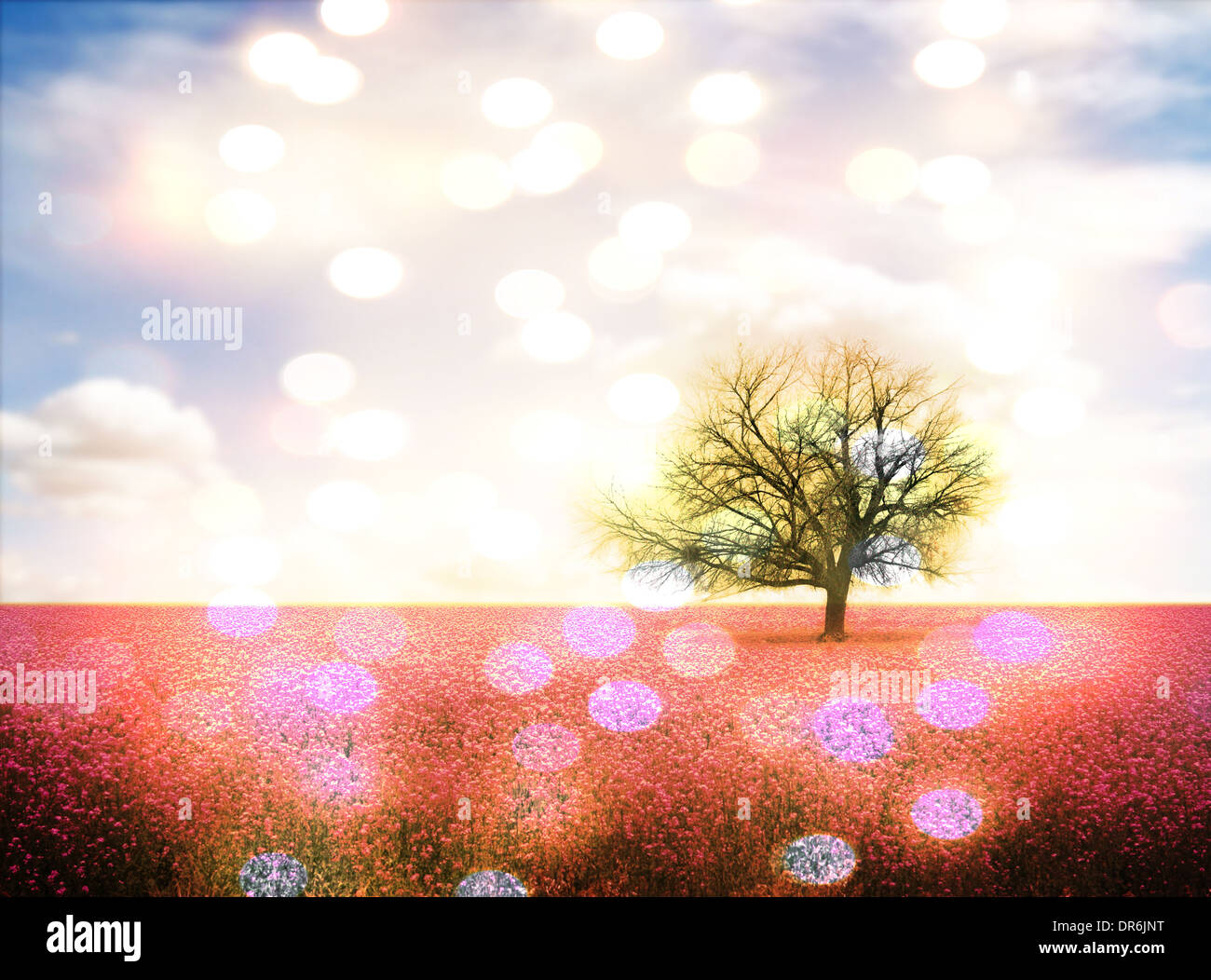 Flowery Field High Resolution Stock Photography and Images - Alamy