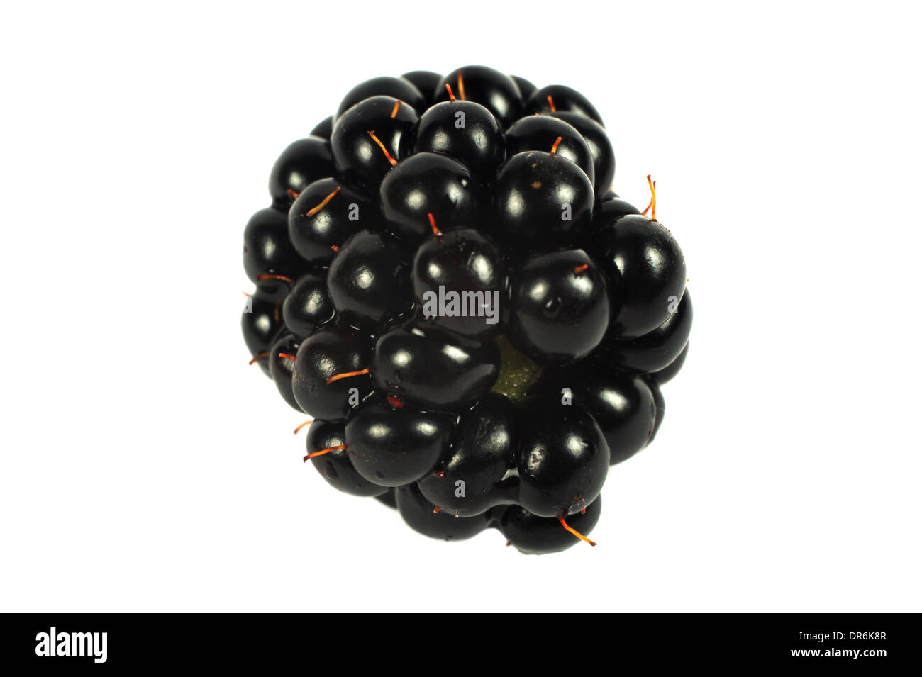 Mulberry isolated hi-res stock photography and images - Alamy