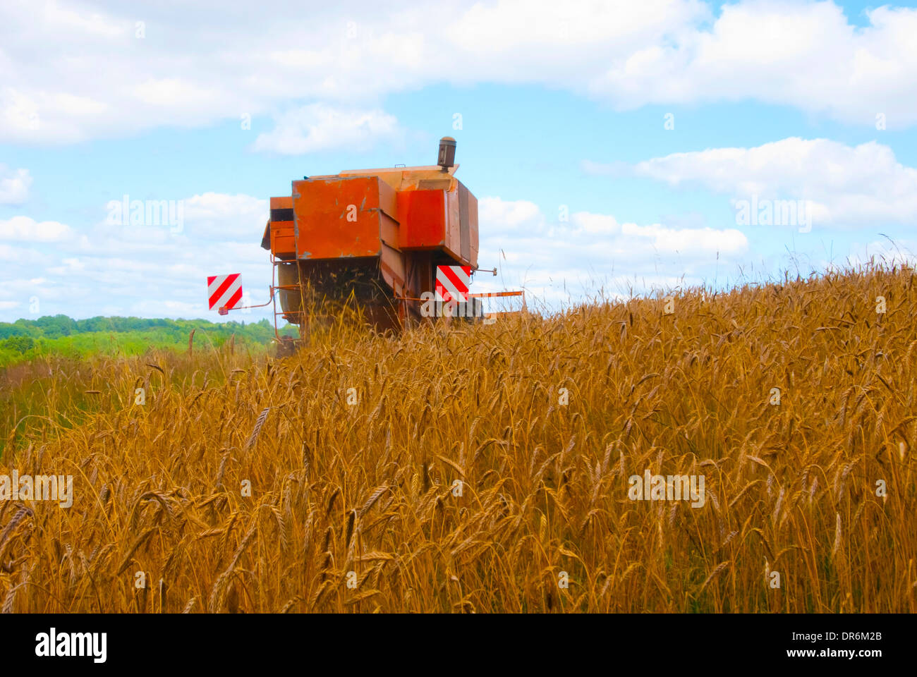 Combine working at wheat field Stock Photo - Alamy