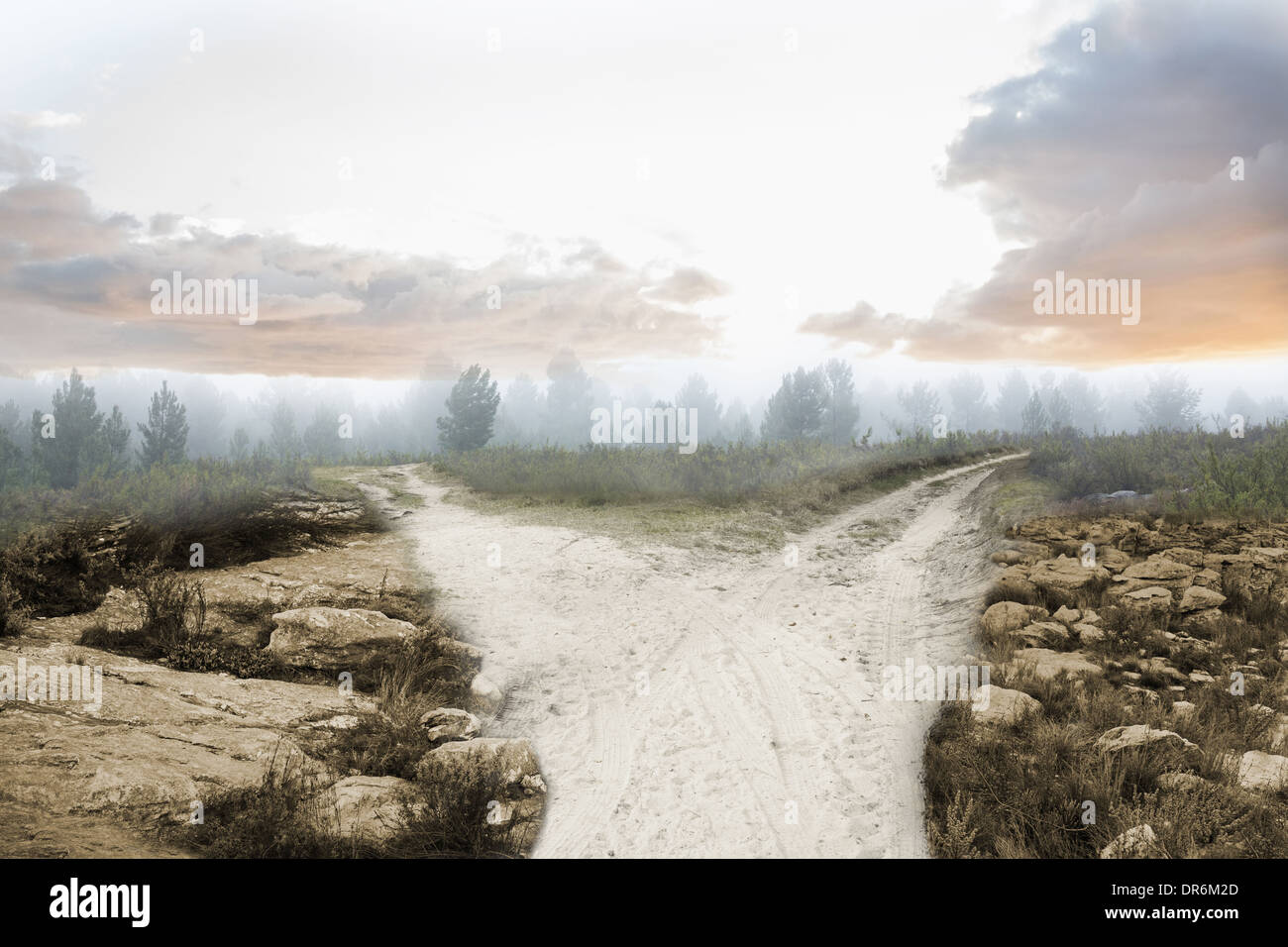 Path and horizon hi-res stock photography and images - Alamy
